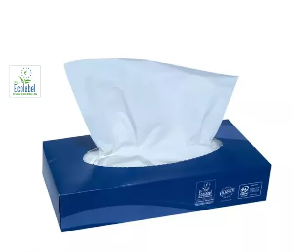 Boîte distributrice de 100 mouchoirs - Carton de 40 boîtes - ECOLABEL